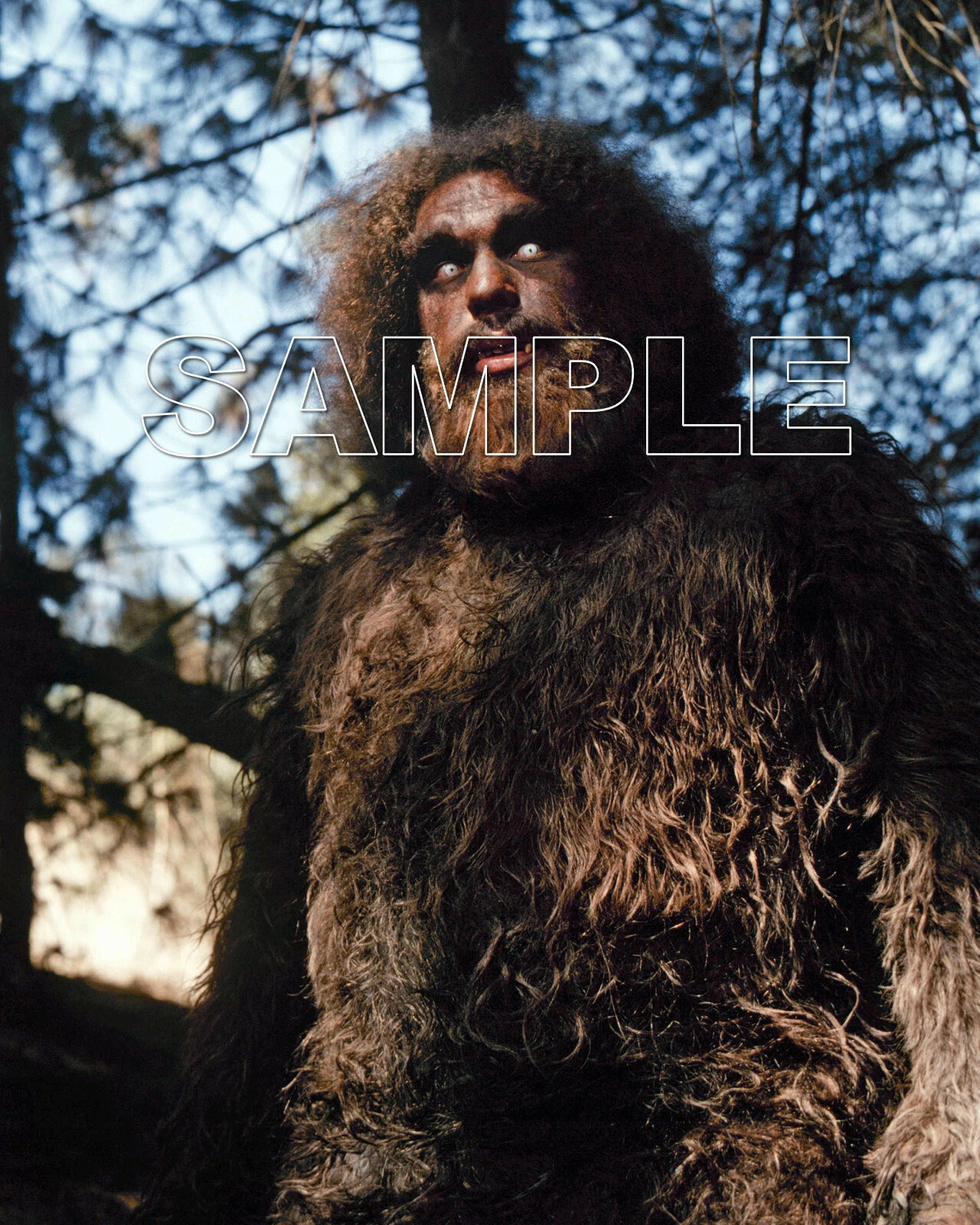 SIX MILLION DOLLAR MAN 8X10 Photo 316-10 ANDRE THE GIANT as Bigfoot | eBay