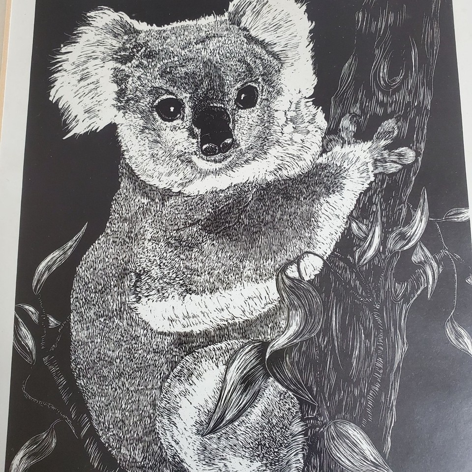 Vtg Rare Koala Lithograph Art Quaint Endearing Double Matted, Gilded ...