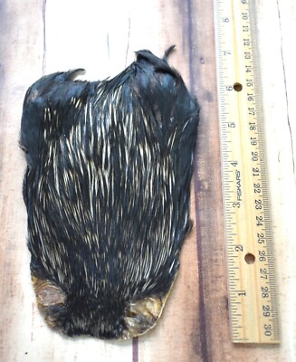 Lot 239, Natural India Rooster Streamer Neck Cape Feathers | eBay