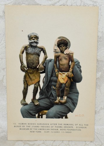 160g. FREAK: HUMAN BODIES SHRUNKEN AFTER BONES REMOVAL, JIVARO INDIANS ...