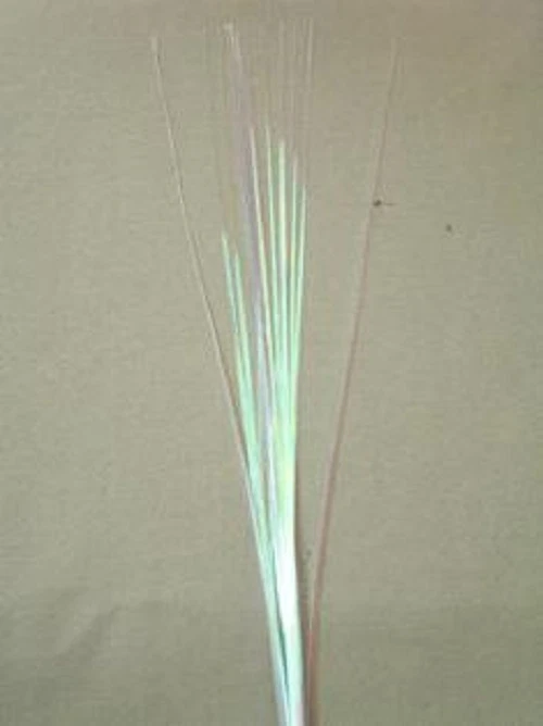 Metallic Onion Grass Spray