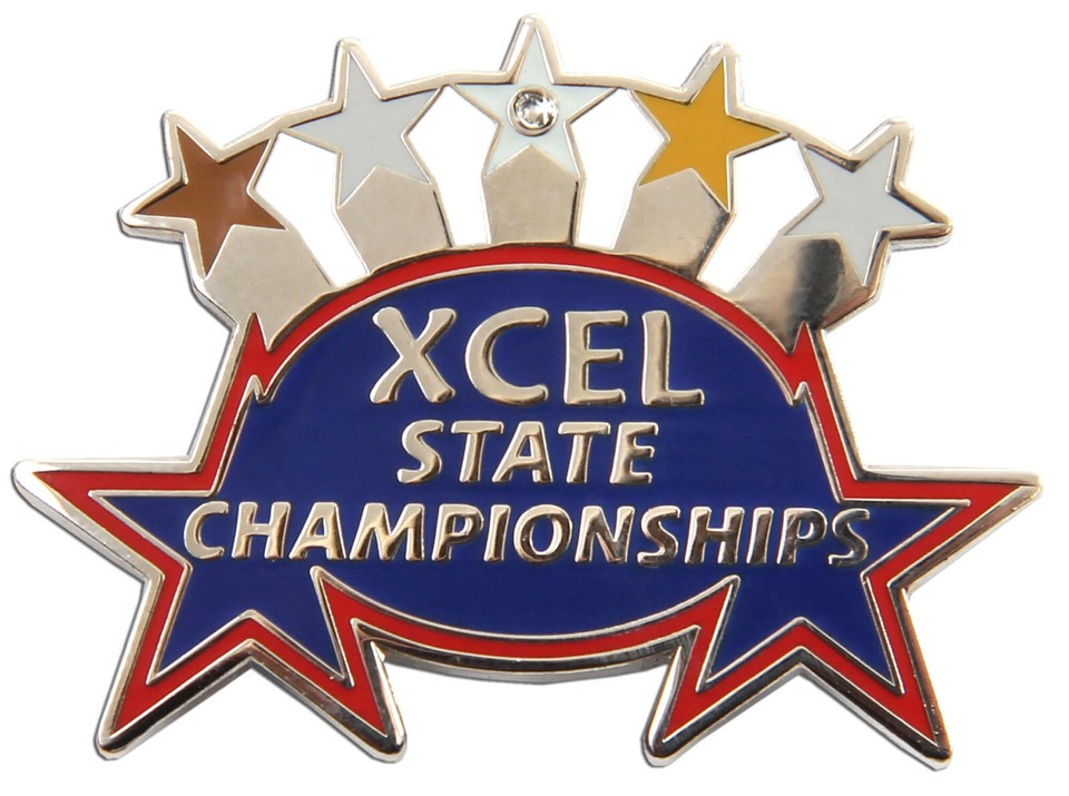 NEW! Xcel Gymnastics Pins - Levels and State by Snowflake Designs | eBay