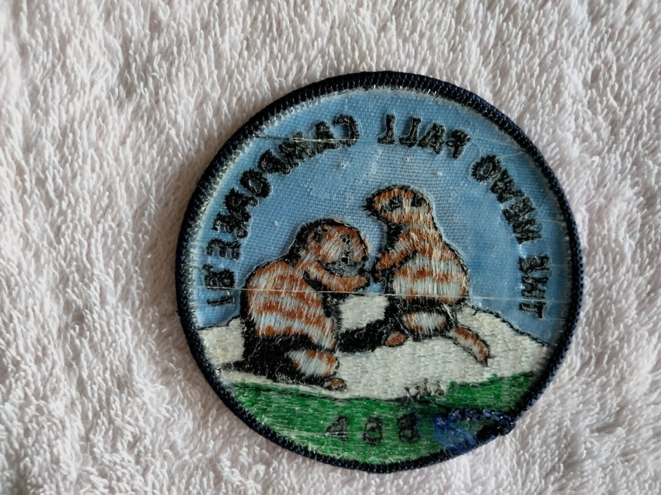 Boy Scout, The Newo Fall Camporee patch, 1981. Beavers | eBay