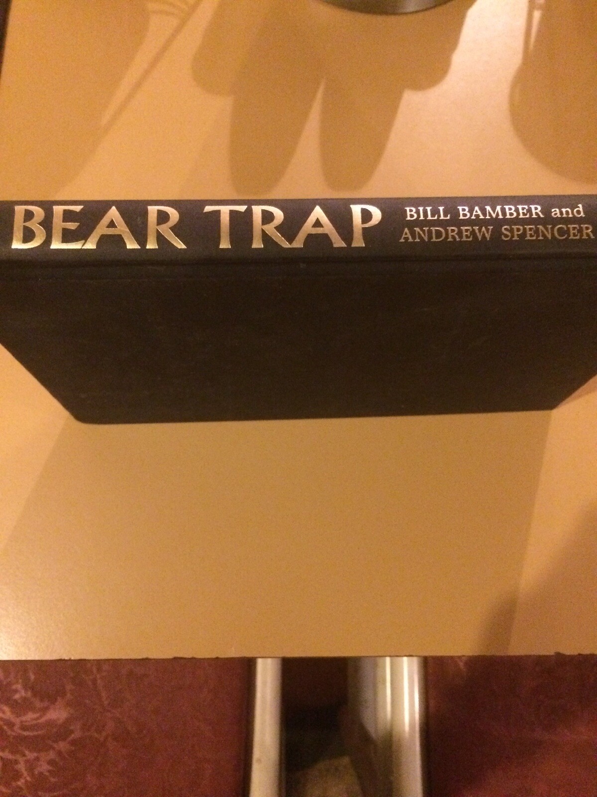 Bear Trap : The Fall of Bear Stearns and the Panic of 2008 by Bill ...