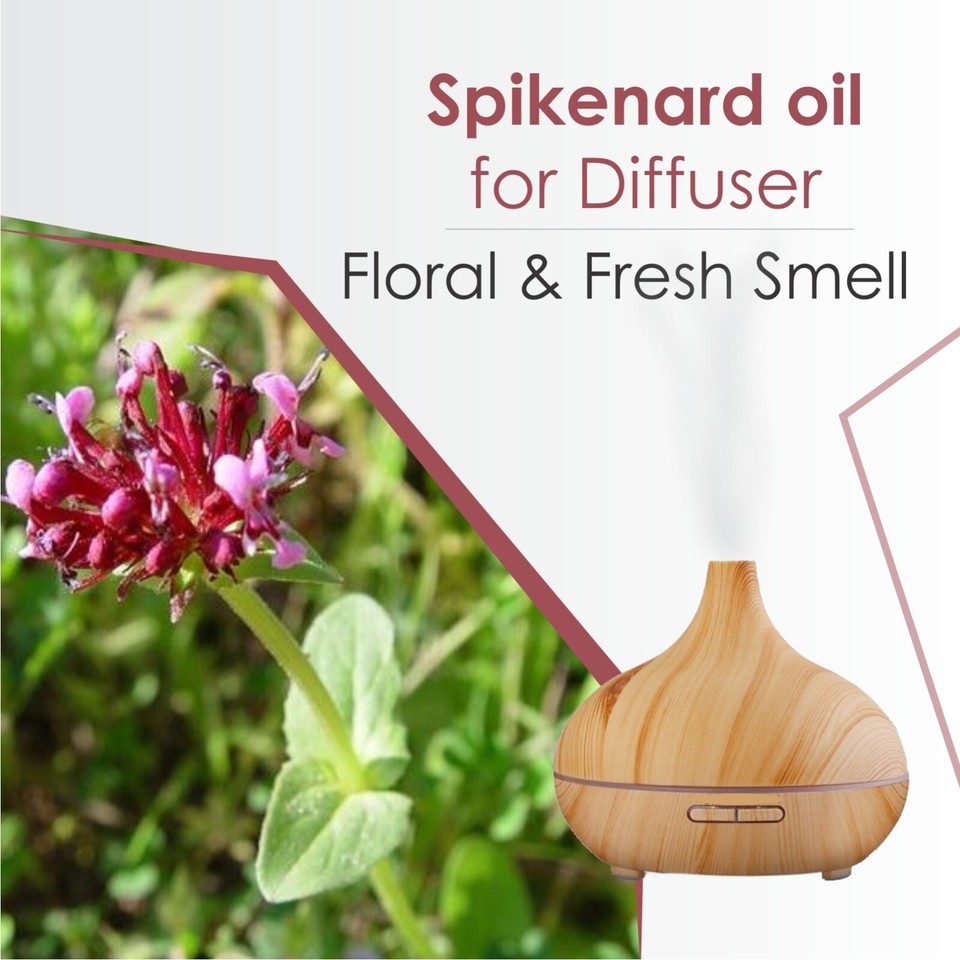 Spikenard Marigold (Nardostachys) 100% Pure & Natural Essential Oil ...