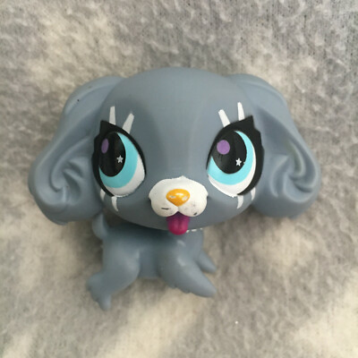 Littlest Pet Shop LPS #2846 grey gray white spaniel dog blue eyes star ...