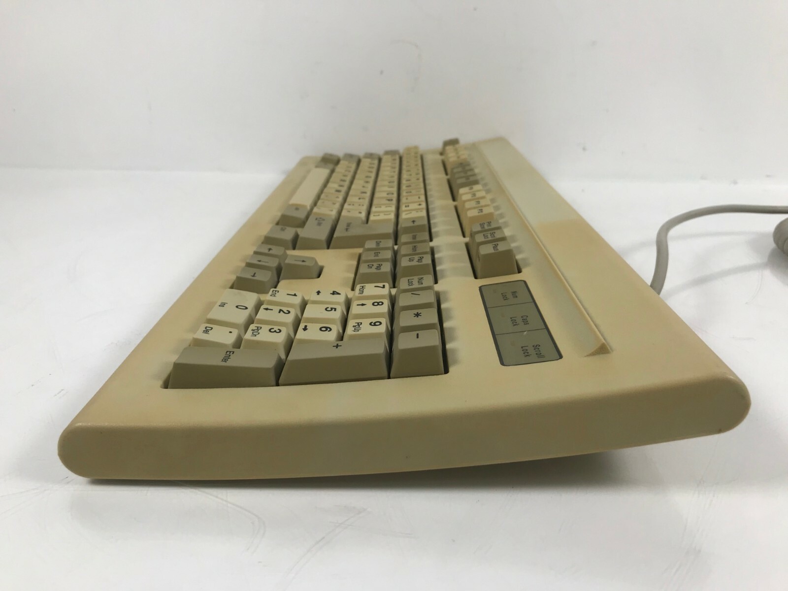 Pristine+Vintage+Chicony+KB-5161A+Mechanical+Keyboard+Mitsumi+mount+on ...