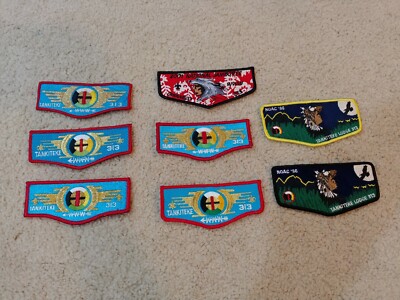 Lodge 313 Tankiteke Owaneco OA Flap Order of the Arrow Boy Scouts BSA | eBay