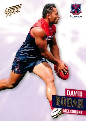 New 2013 MELBOURNE DEMONS AFL Card DAVID RODAN | eBay