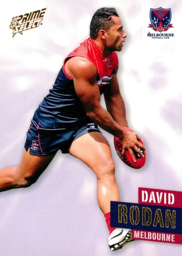 New 2013 MELBOURNE DEMONS AFL Card DAVID RODAN | eBay