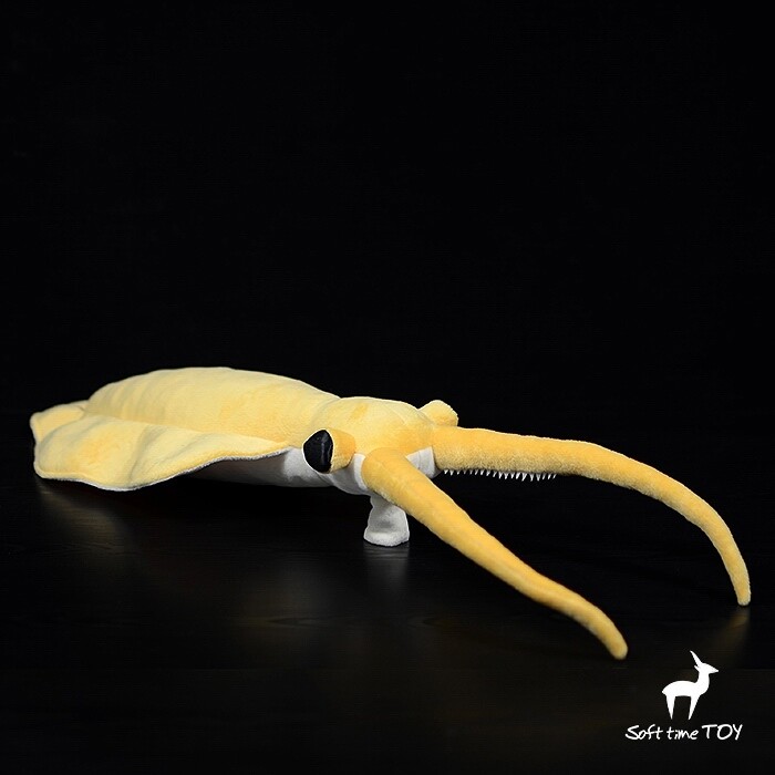 Original Paleontology Series Nectocaris Pteryx Plush Toy Doll 16.9 ...