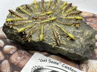 1.5" MAYFLY SOFT PLASTIC FISHING BAIT IN NATURAL COLORS | eBay