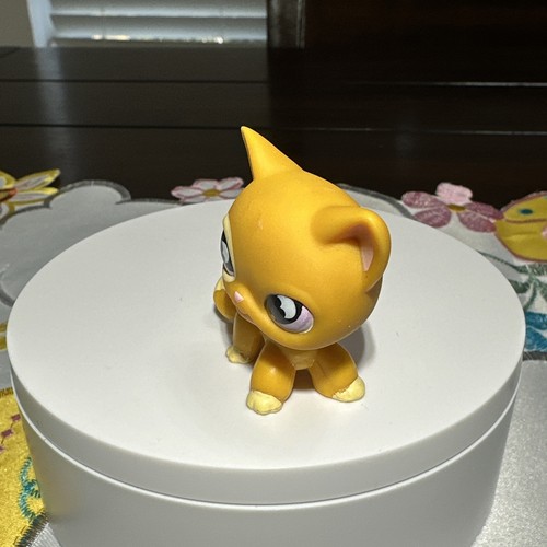 Littlest Pet Shop LPS Shorthair Cat Kitty 855 Main 5 Authentic Orange ...