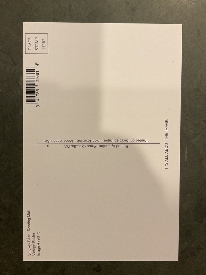 Smokey Bear -Reading Mail - Fire Prevention - Lantern Press Postcard | eBay