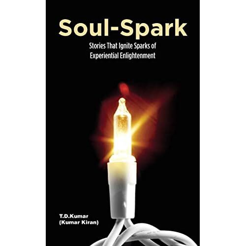 Soul-Spark: Stories That Ignite Sparks of Experiential - Paperback NEW ...