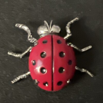 Vintage Beau Sterling Silver and Red Glass Ladybug Pin Brooch Signed | eBay