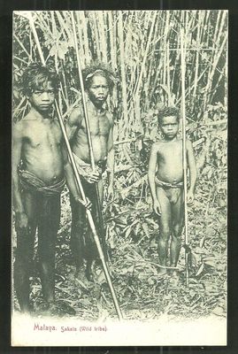 Native Sakai Senoi Spear Straits Settlements Malaysia ca 1905 | eBay