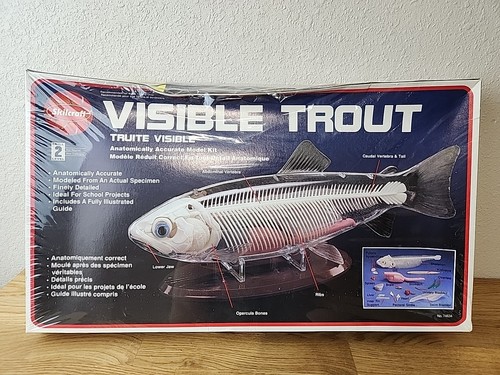RARE Vintage 1990s Remake - The Visible Trout 1964 Model Kit Display ...