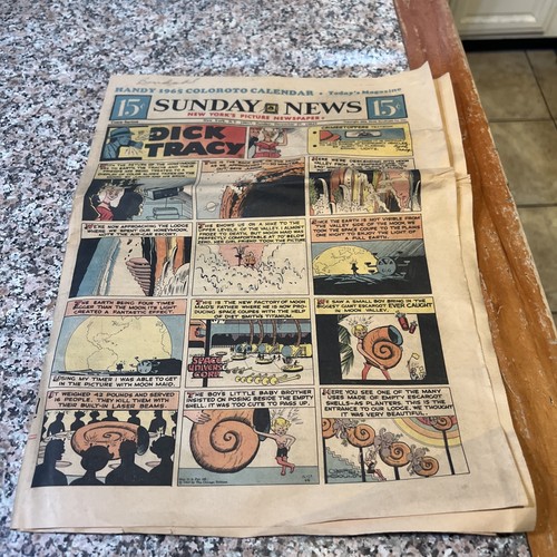 Dec 27 1964 New York Sunday News COMICS Terry Pirates Vietnam Dick ...