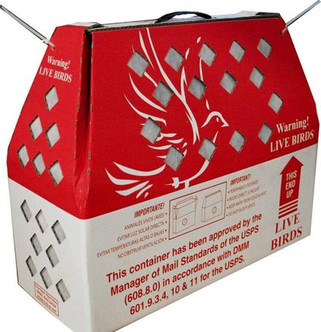 Horizon "Lite" Live Bird Shipping Boxes 10 Pack Chickens Poultry - USPS ...
