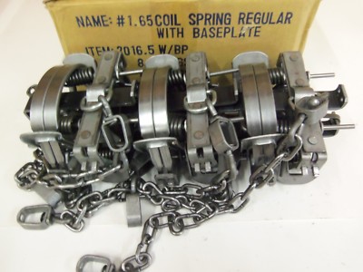 6 Bridger #1.65 Coil Spring Traps Fox Raccoon Bobcat Trapping | eBay