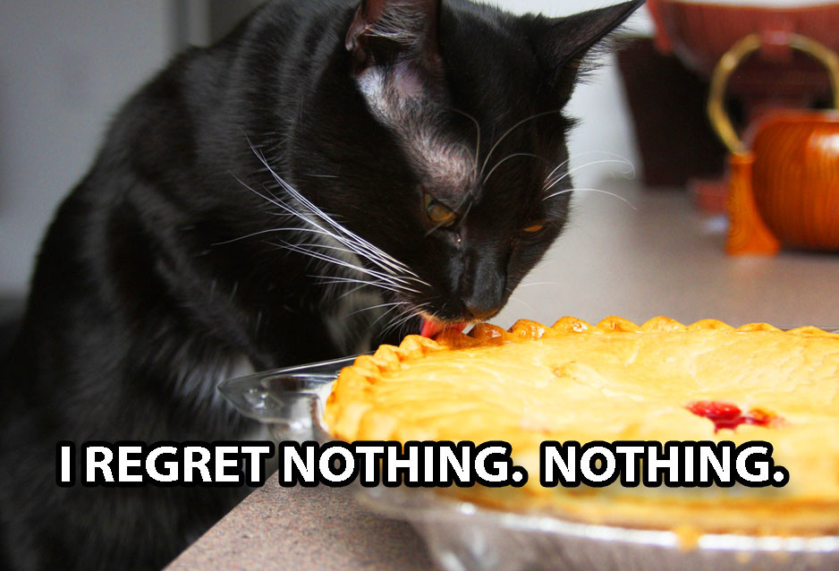 Cat Pie Memes Panko A. Cat's Mom On X: "Panko The Type Cat To Float