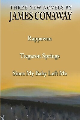 Three Short Novels: Rappawan, Tregaron S Conaway, James Paperback | eBay