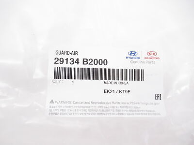 Genuine OEM Kia 29134 B2000 Passenger Lower Air Guide 2014-2019 Soul | eBay