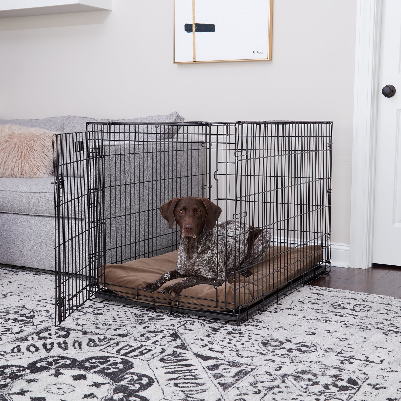 Cooper Deluxe Crate Pad | eBay