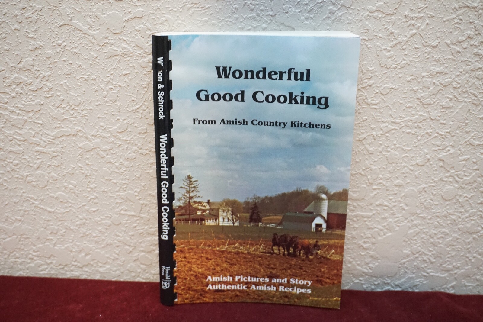 WONDERFUL GOOD COOKING From Amish Country Kitchens COOKBOOK Fred Wilson ...