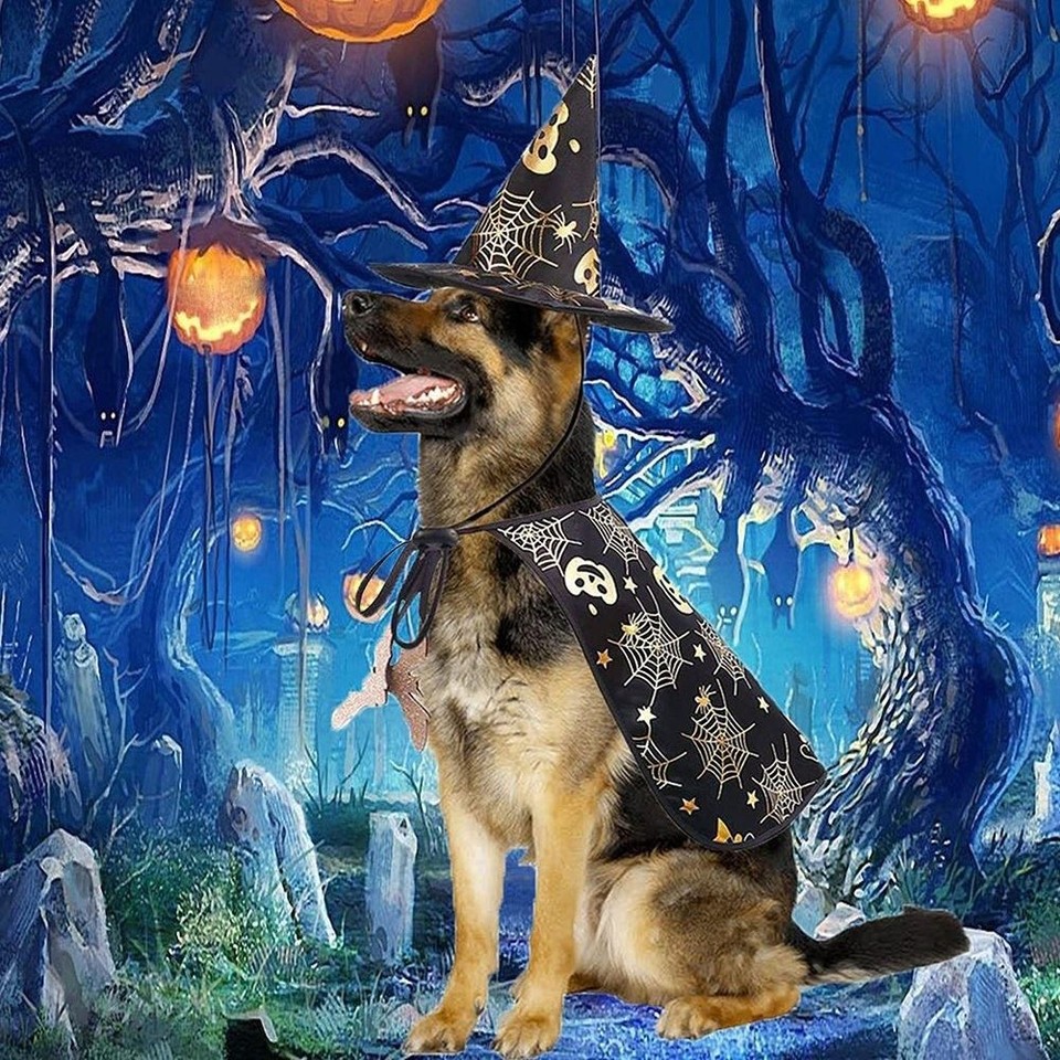 Halloween Costume Animale Domestico Capo E Cappello Cool Completo Gatti ...