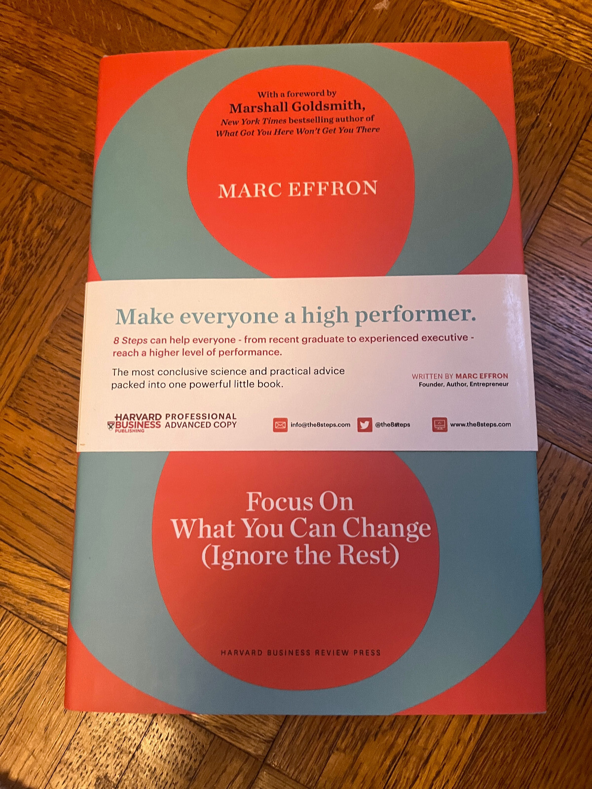 8 Steps to High Performance : Focus on What You Can Change (Ignore the ...