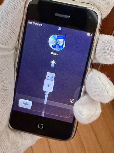 Apple iPhone (1st Generation, 8 GB) Model A1203 – 2007 Original Release ...