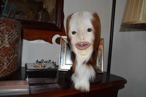 Taxidermy Swamp Booger/Assquatch | eBay