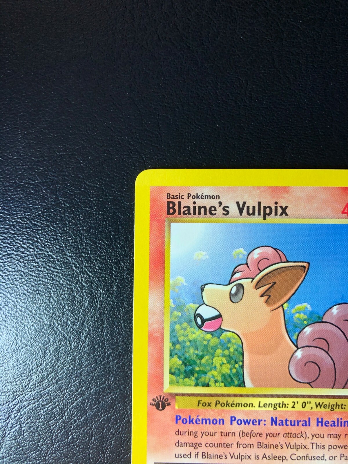 BLAINE'S VULPIX - 1st Edition Gym Heroes - 65/132 - Pokemon Card - NM ...