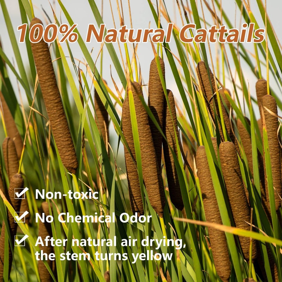 45pcs Large Natural Brown Cattails Bundles - Dried Flowers Real Cat ...