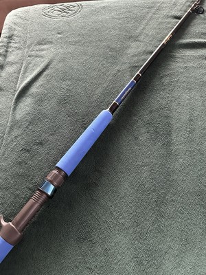 Seeker Blue Lightning Inshore Series II 8ft Rod BCBW807T | eBay