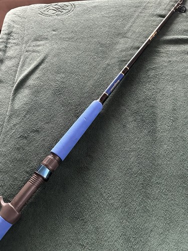 Seeker Blue Lightning Inshore Series II 8ft Rod BCBW807T | eBay