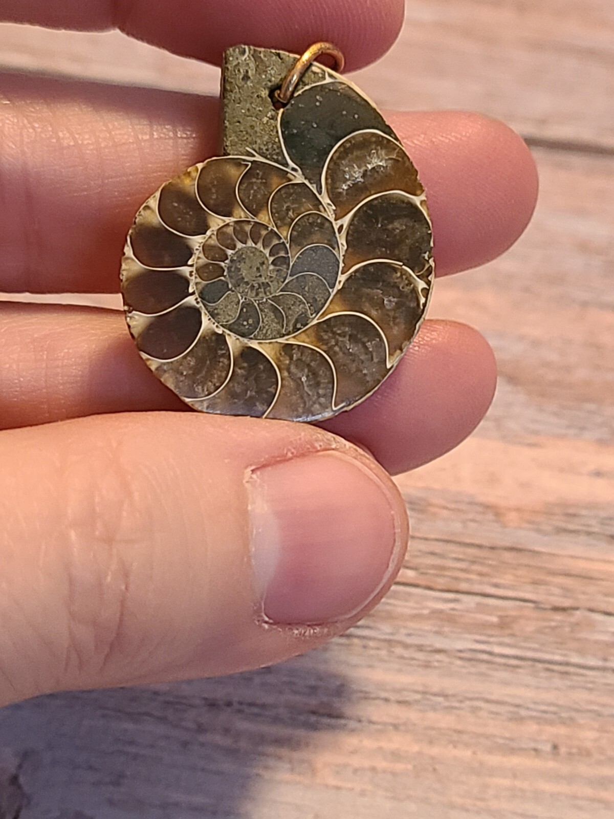 1" Ammonite Fossil Key Chain New #4 | eBay