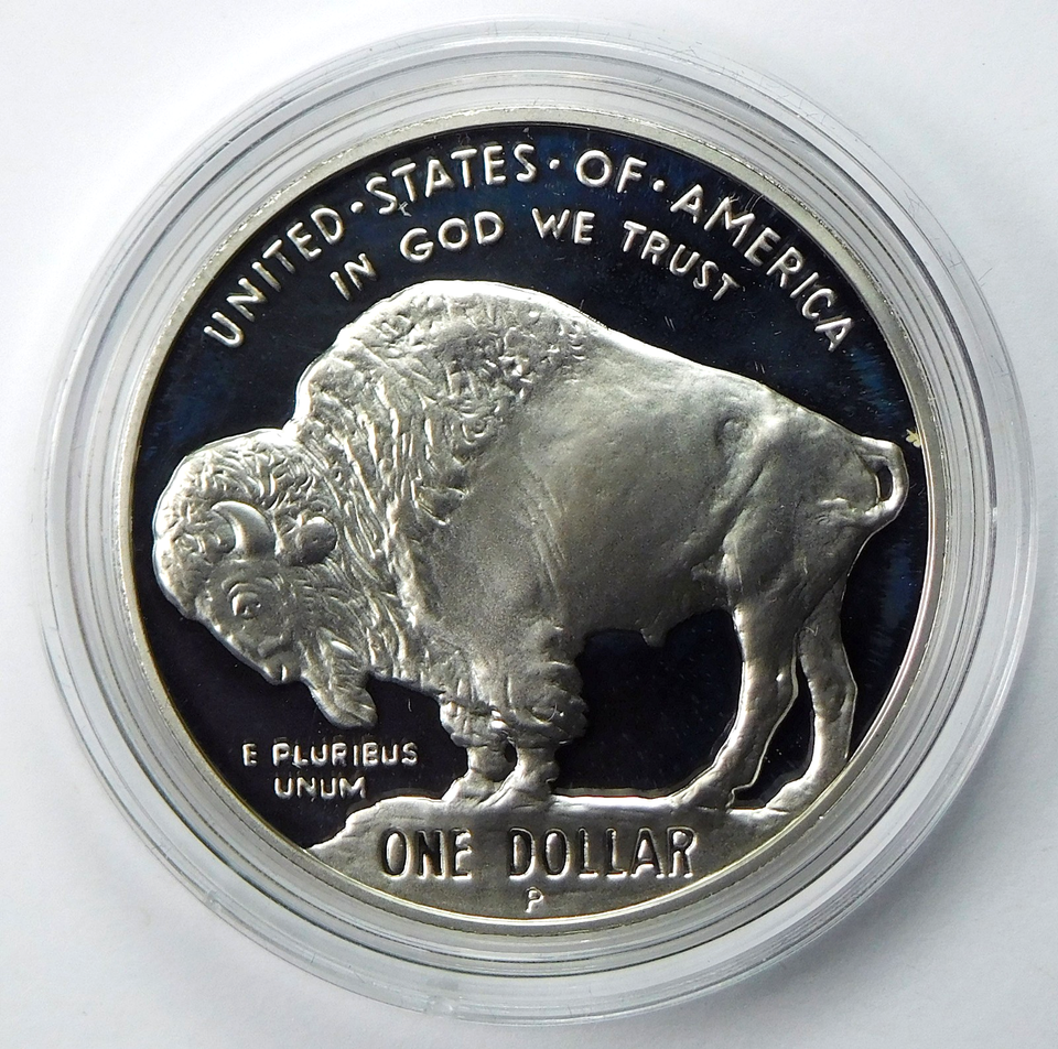 2001-P Proof American Buffalo Commemorative Silver Dollar | eBay