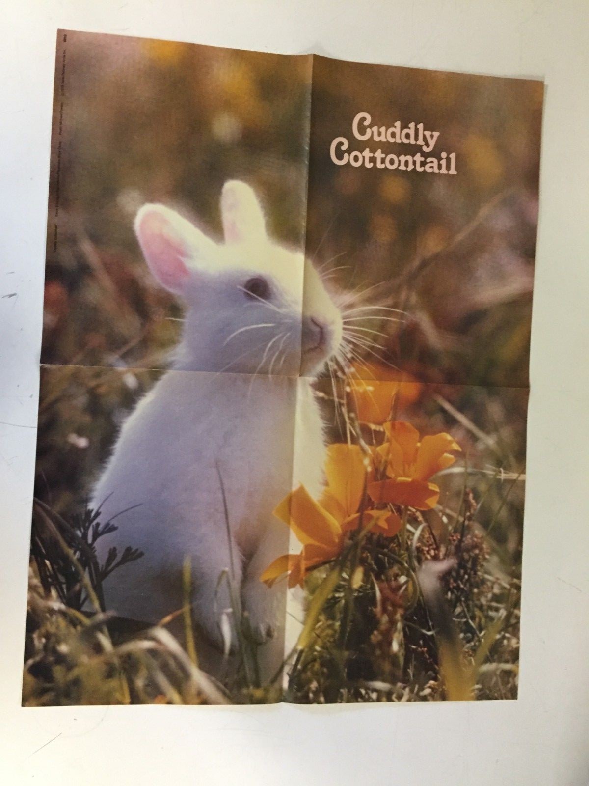 Vintage 1978 Cuddly Cottontail Rabbit Poster XEROX Education #6010 Mike ...