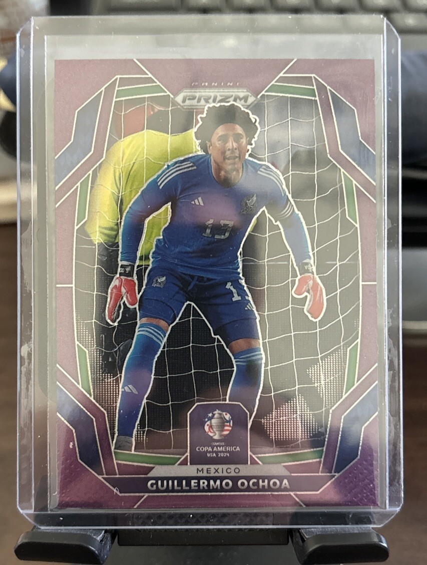 Ochoa 2024