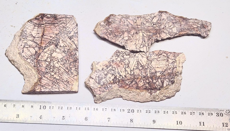 Chipboard Rhyolite or Brecciated Rhyolite 3 Slabs Cabbing Rock or Decor ...