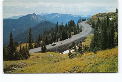 Hurricane Ridge Highway Olympic National Park WA Chrome Postcard Vtg ...
