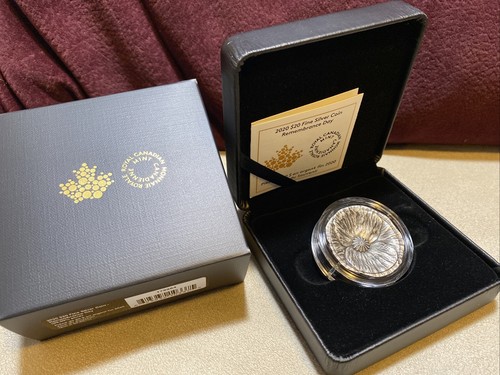 Canada Mint 2020 Remembrance Day Silver Poppy Coin 20 Dollars Ltd 7000 ...