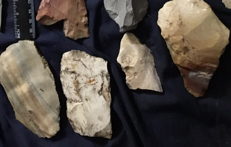 Native American Archaic Effigy Stone Animal Head Artifact | eBay