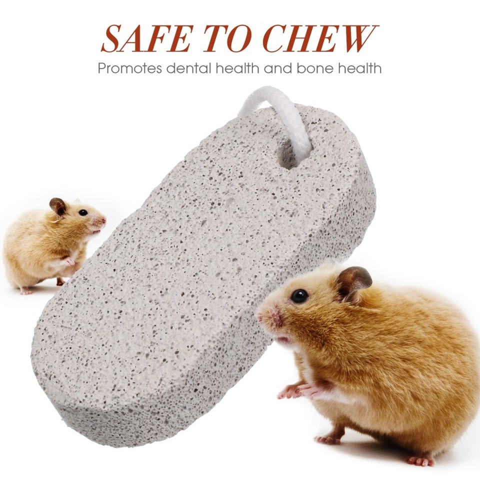 2 Pcs Molar Stone Bridegroom Rabbit Mineral Animal Teeth Griding | eBay