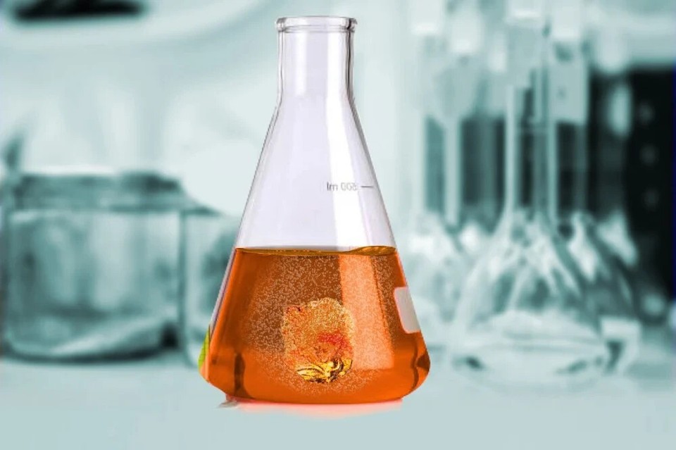 Scrap Gold Recovery Kit Sodium Metabisulfite Urea Aqua Regia Stannous ...