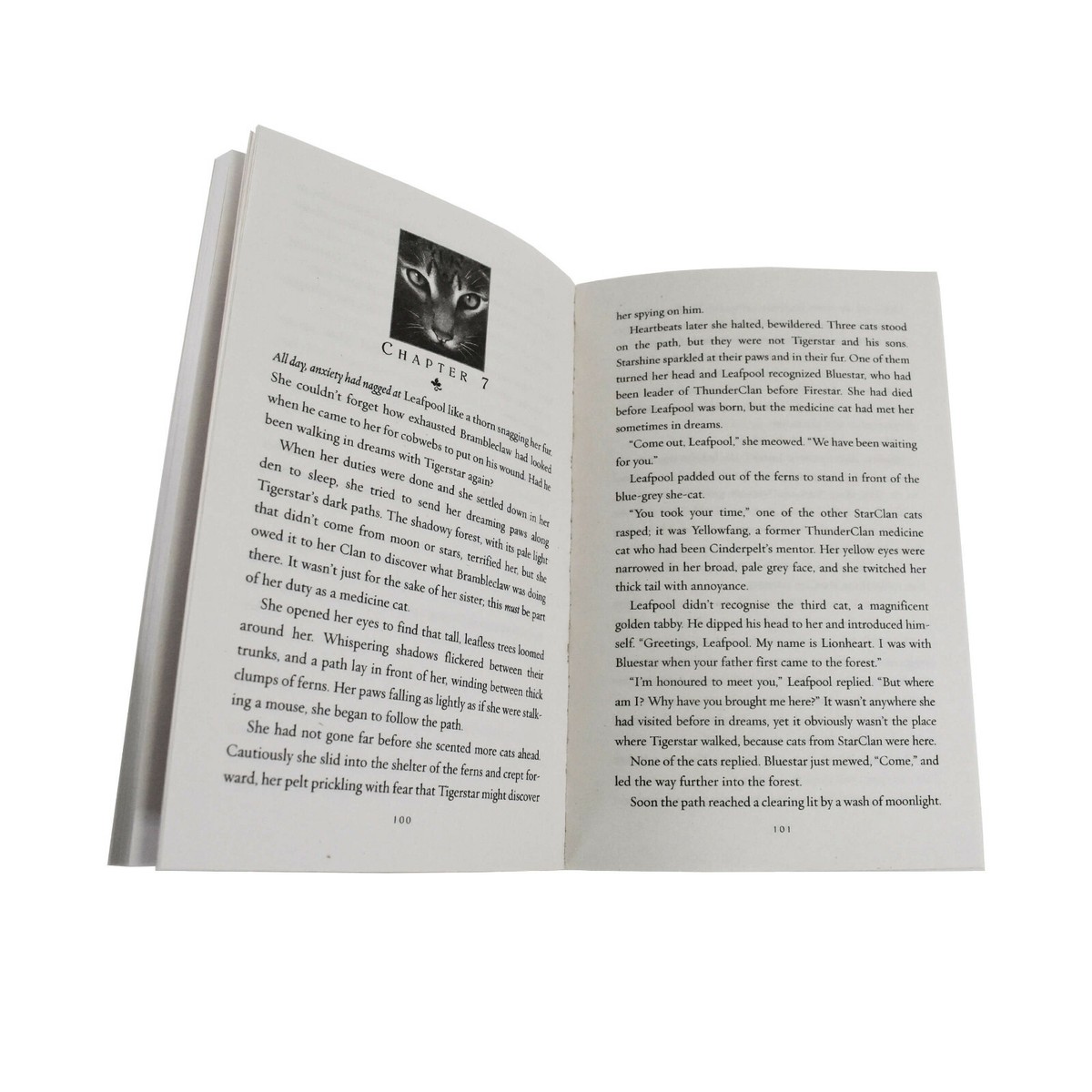 Newstar Erin Gen 2 20102014 Page 2 Grown Ups 2 (2013)