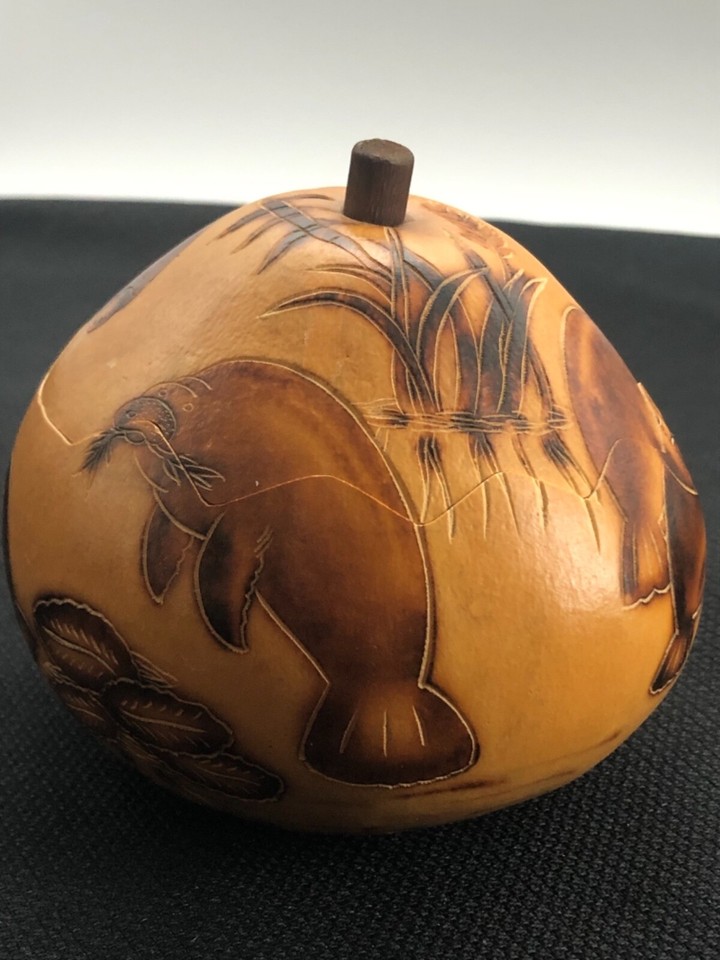 Gourd container with Carved and stained Manatees | eBay